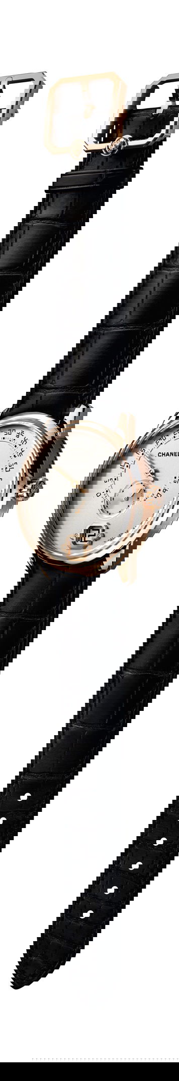 Chanel J12 X-RAY - H6249 - 720,050 USD – The Watch Pages