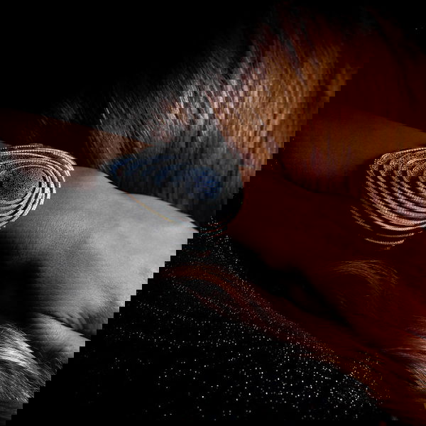 10 of the most expensive women’s watches in the world